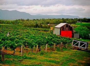 Red Door Collective - RDC Estate,Hunter Valley:Photos,Reviews,Deals