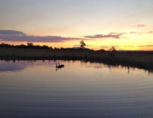 Bluebush Estate,Hunter Valley:Photos,Reviews,Deals