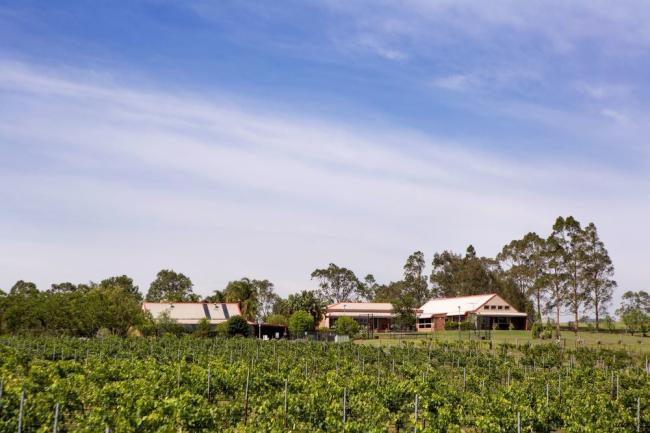 Bluebush Estate,Hunter Valley:Photos,Reviews,Deals