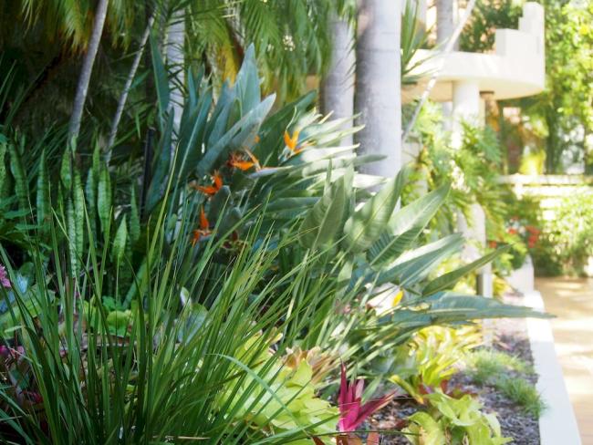 Mirra Chana,Sunshine Coast:Photos,Reviews,Deals