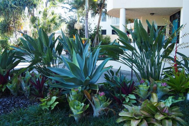 Mirra Chana,Sunshine Coast:Photos,Reviews,Deals