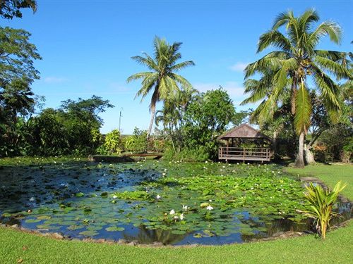 Gecko's Resort,Fiji:Photos,Reviews,Deals