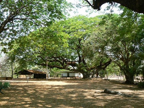 Springvale Homestead,Katherine:Photos,Reviews,Deals