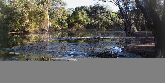 Springvale Homestead,Katherine:Photos,Reviews,Deals