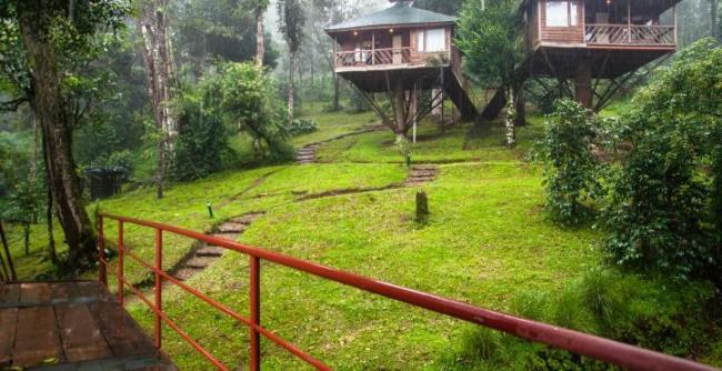 Nature Zone Jungle Resort,Munnar:Photos,Reviews,Deals