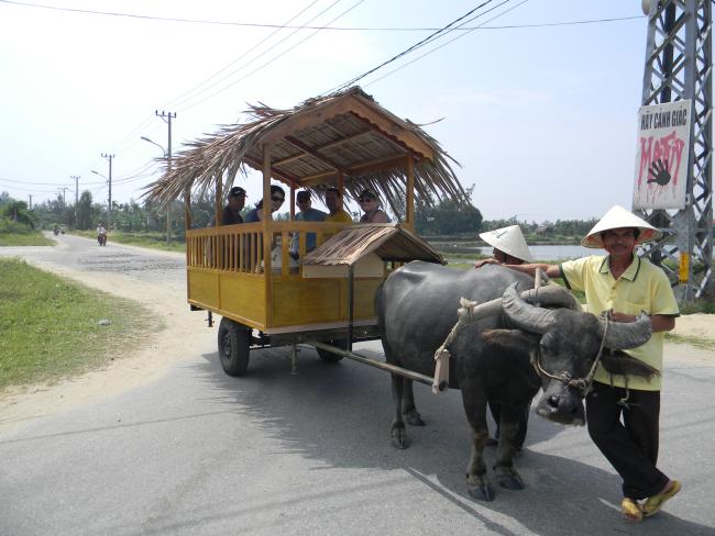 Private buffalo cart tour in the countryside of Hoi An,Hoi An:Photos ...
