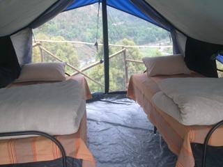 Back to Nature camp,Bhimtal:Photos,Reviews,Deals