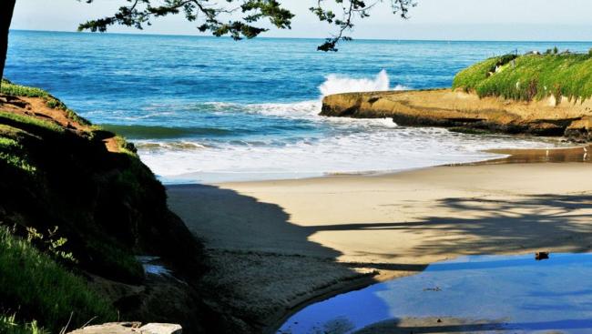 Ocean Echo Inn & Beach Cottages,Santa Cruz:Photos,Reviews,Deals