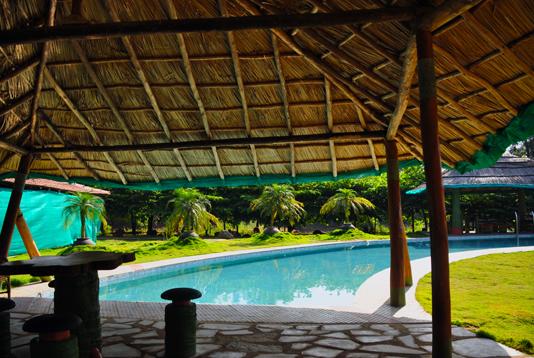 Mango Mist Resort,Bangalore:Photos,Reviews,Deals