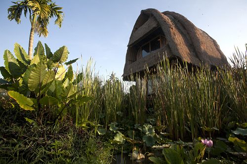 Ubud Hidden Villa,Ubud:Photos,Reviews,Deals