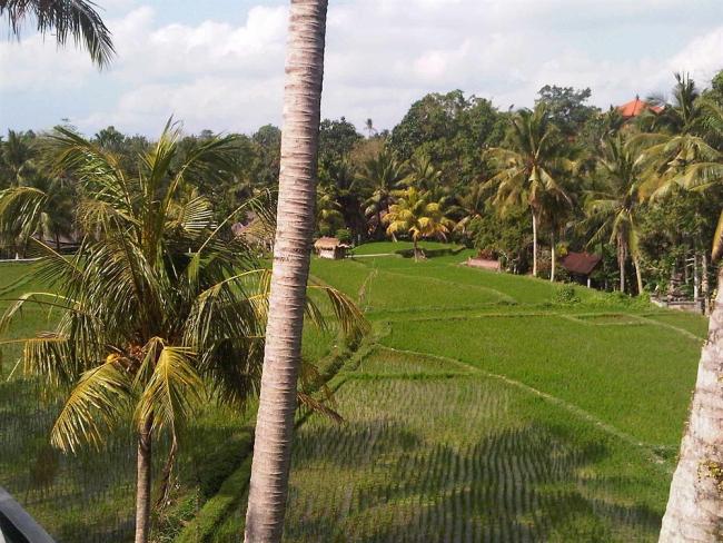 Motama Villa,Ubud:Photos,Reviews,Deals
