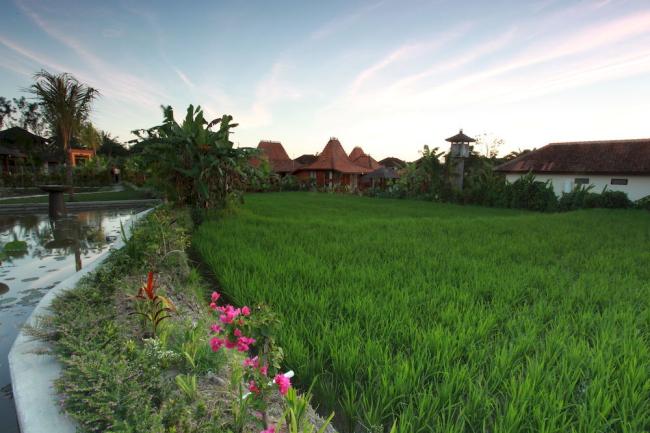 Ubud Heaven Penestanan,Ubud:Photos,Reviews,Deals