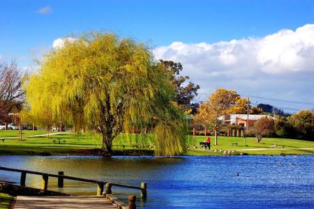 Top 9 Resorts in Masterton |Places to stay in Masterton
