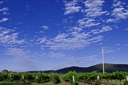 Top 15 Resorts in Mudgee |Places to stay in Mudgee